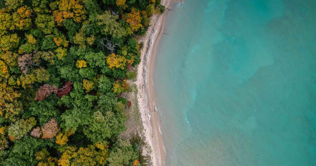 Climate Imaginaries: Artistic Research for Regenerative Futures with ...